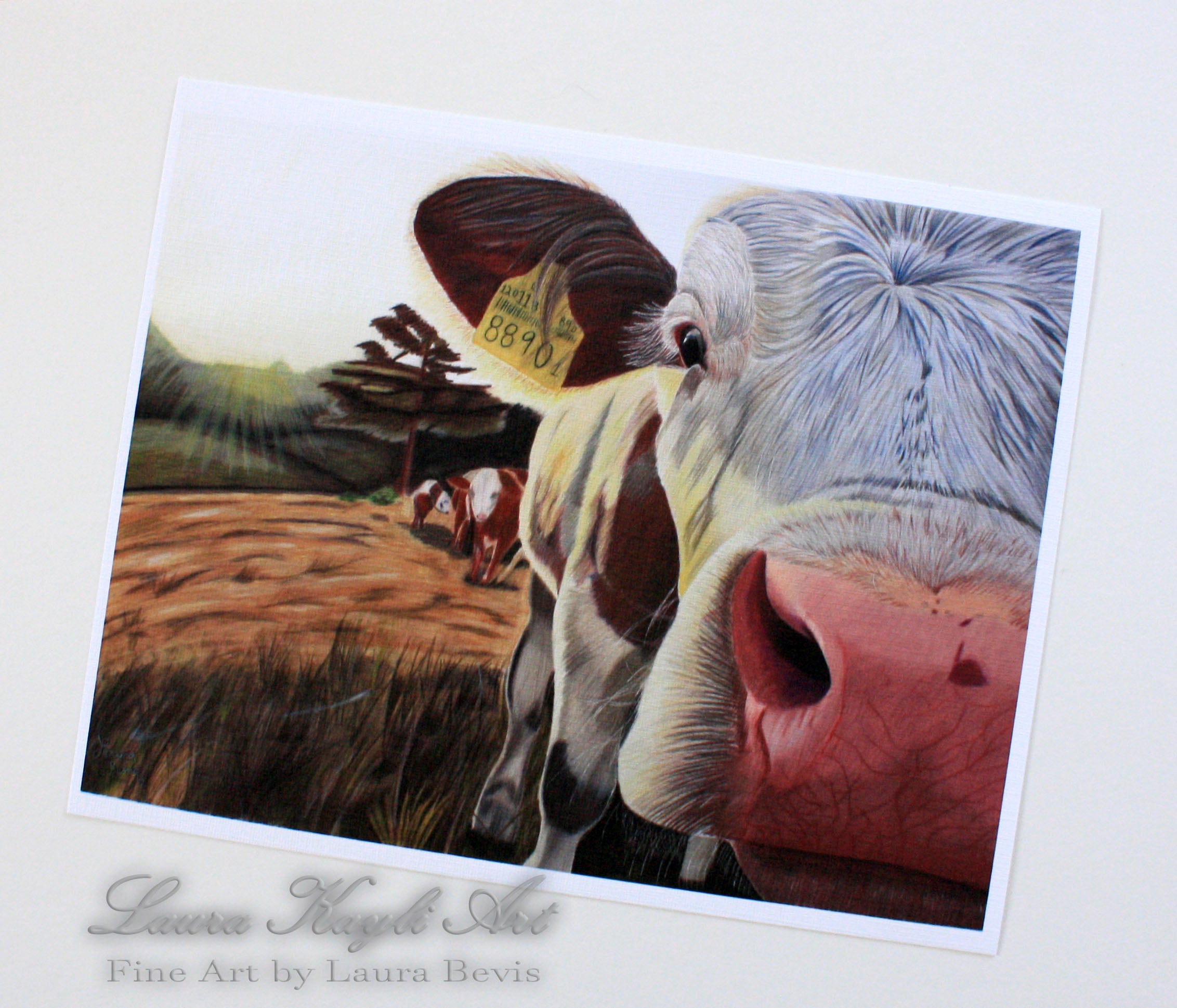 Cow Collection – Laura Kayli Art